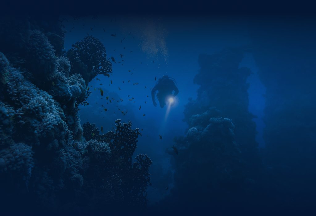 What Lies Beneath: Exploring the Deep Ocean