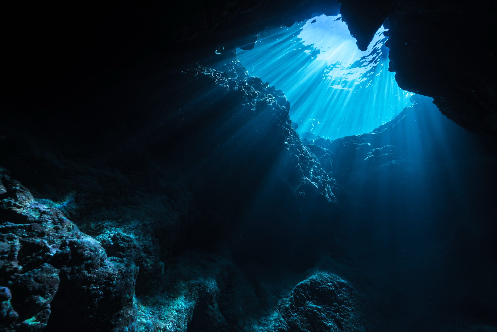 What Lies Beneath: Exploring the Deep Ocean