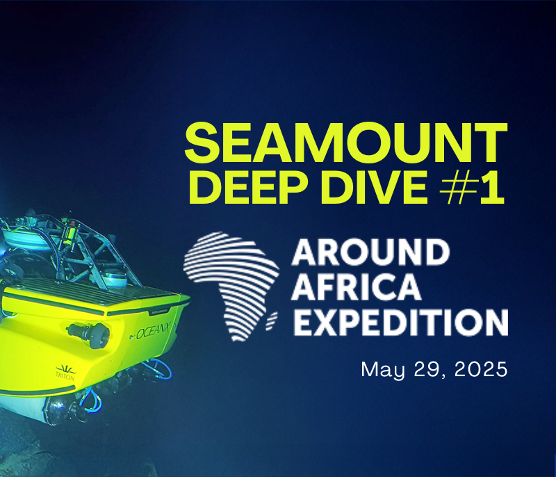 Seamount Deep Dive #1 - Around Africa Expedition - OceanQuest